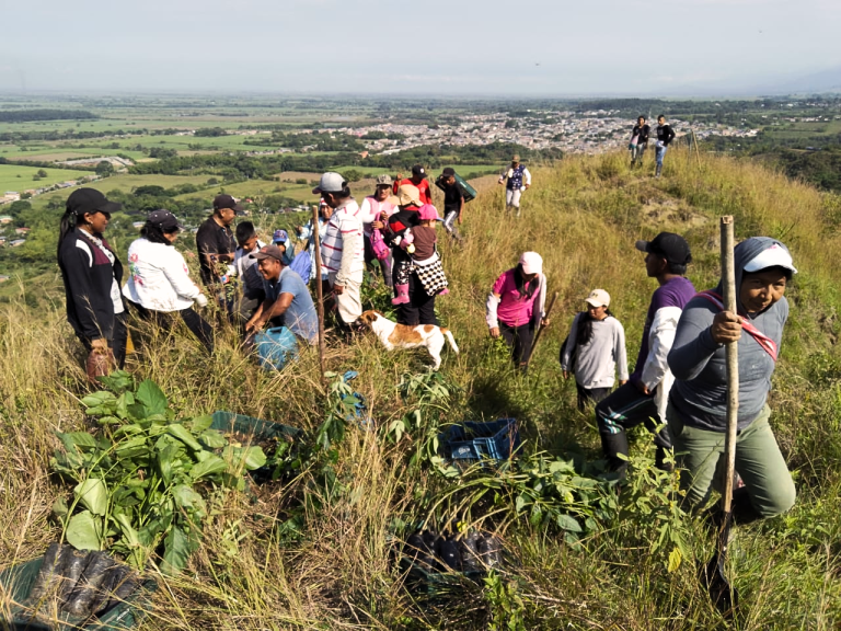 Comunidades indígenas siembran más de 2.000 árboles en el municipio ...